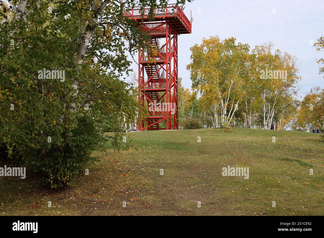 red steel forest fire watch tower set amid poplar forests in autumn ...