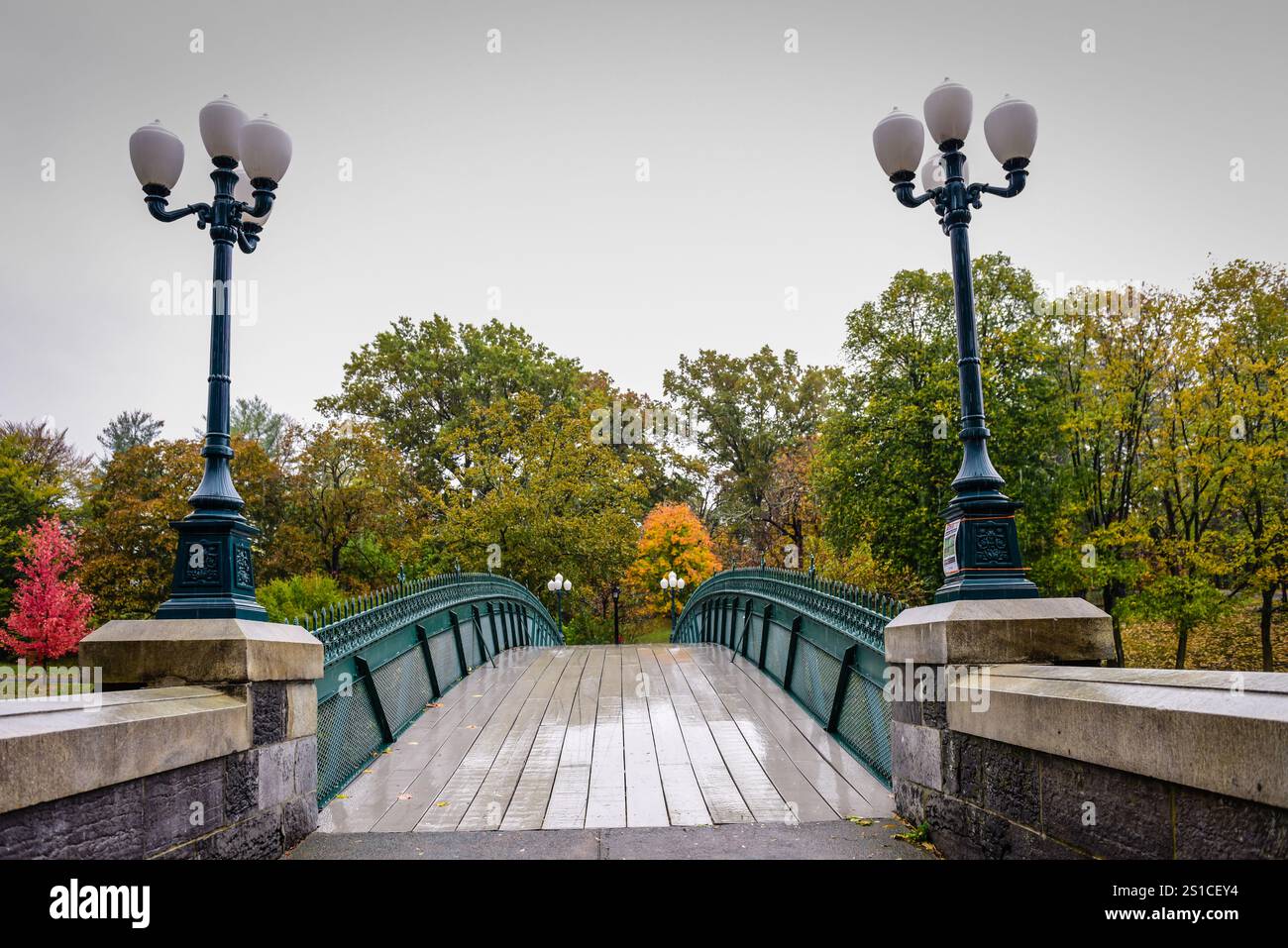 Erected in 1875, the footbridge over Washington Park Lake is the oldest ...