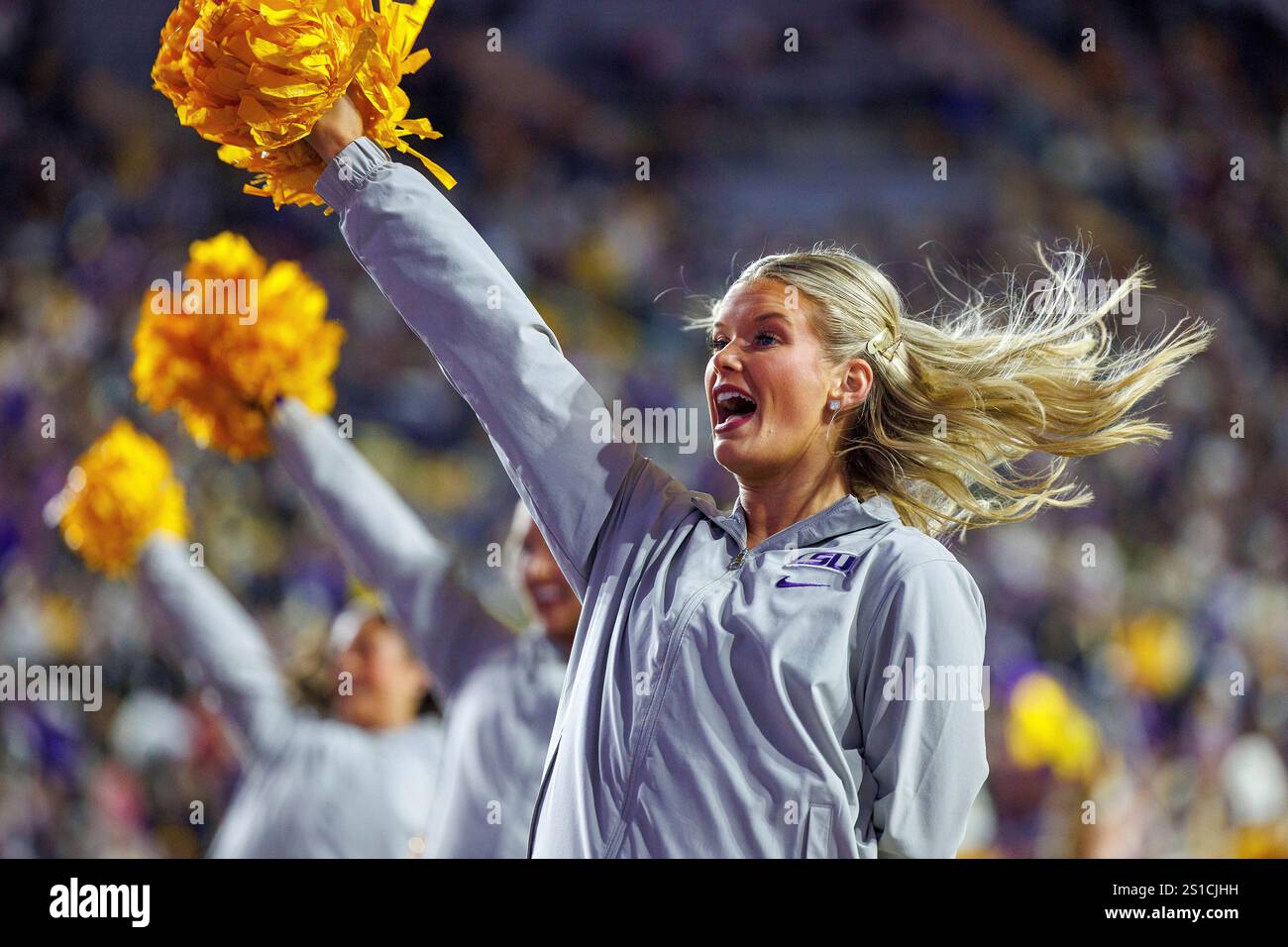 BATON ROUGE, LA - NOVEMBER 30: The LSU Tigers cheerleaders entertain ...
