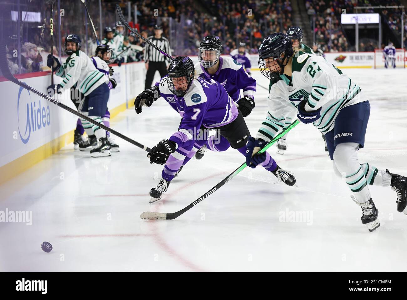 Butorac hi-res stock photography and images - Alamy