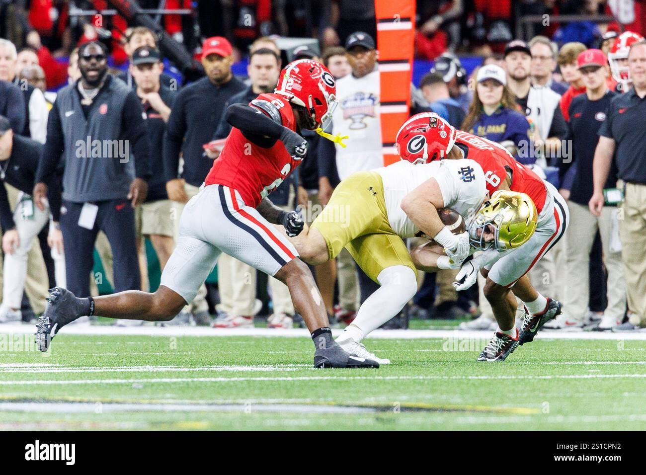 2025 _1270 jpg hi-res stock photography and images - Alamy