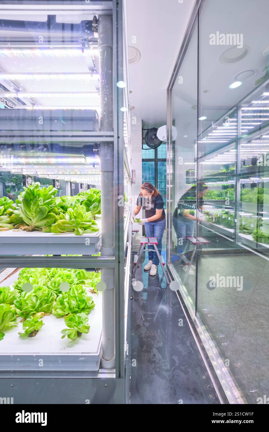 A research, growing, agriculture greenhouse, lab at the museum. At the ...