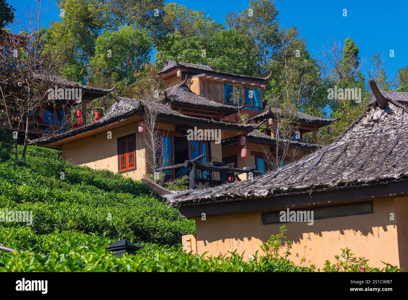 Chinese village of Ban Rak Thai with traditional houses in tea ...