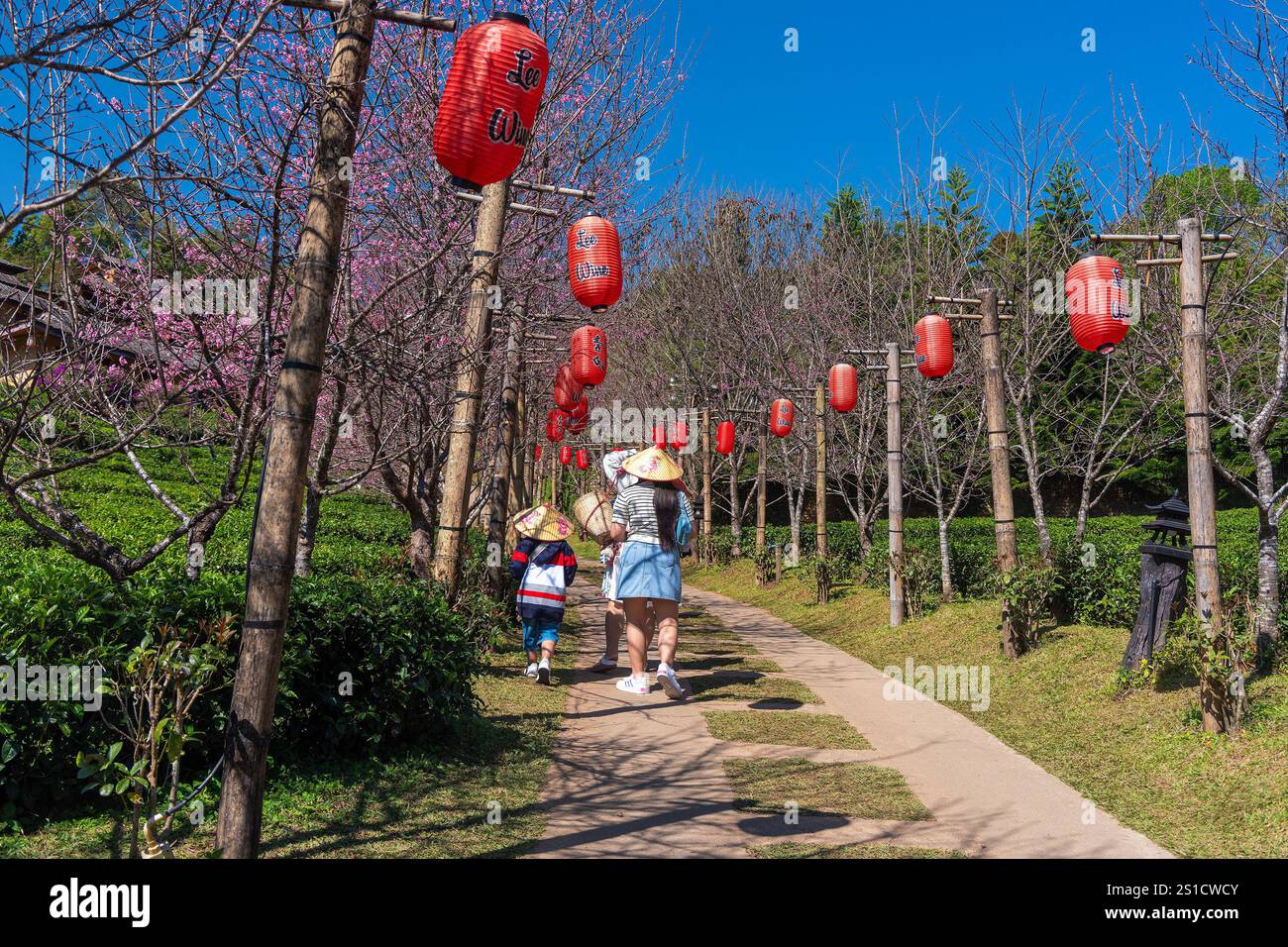 Chinese village of Ban Rak Thai with traditional houses in tea ...