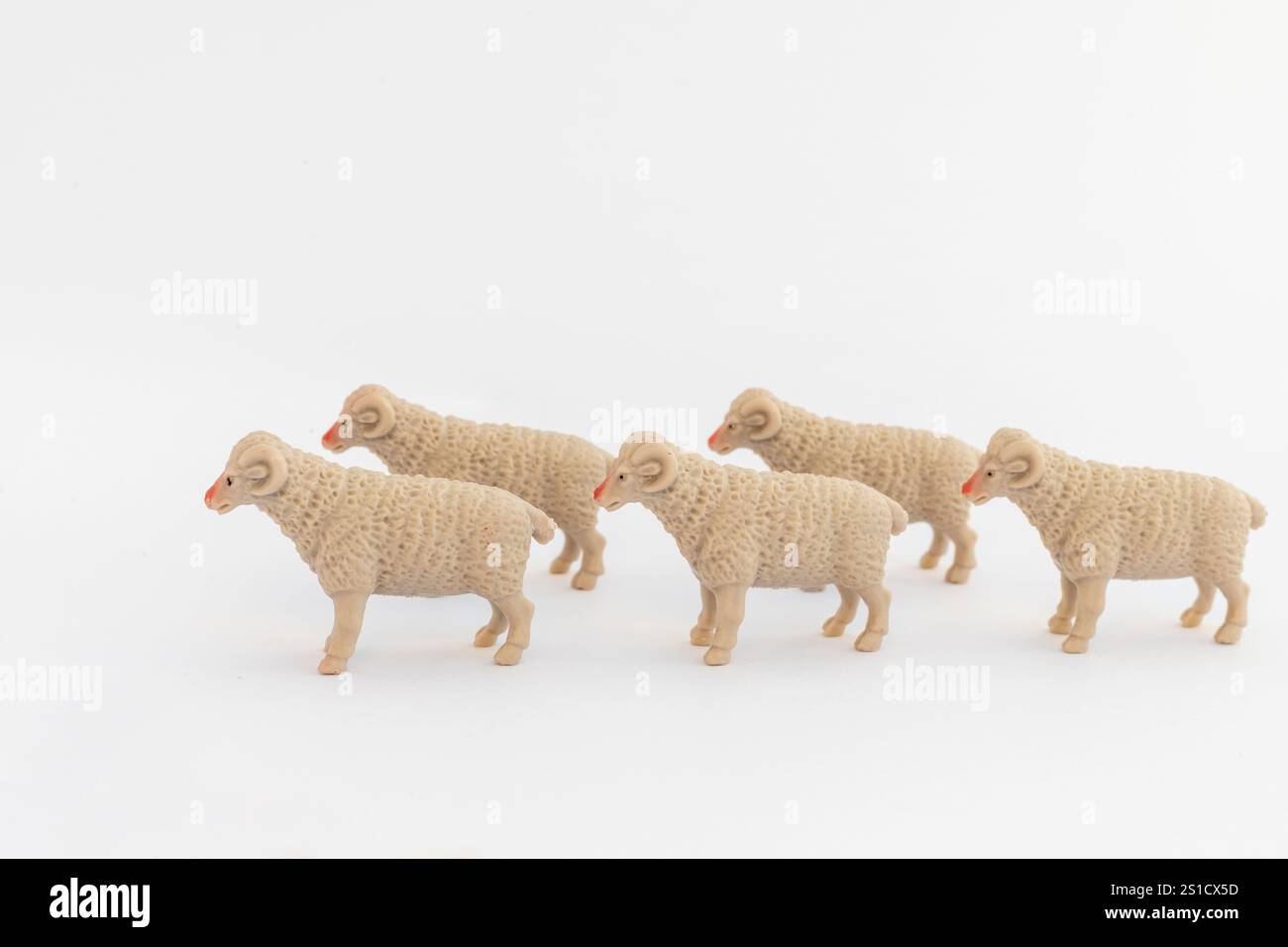 Row of miniature sheep models on clean white Background Stock Photo - Alamy