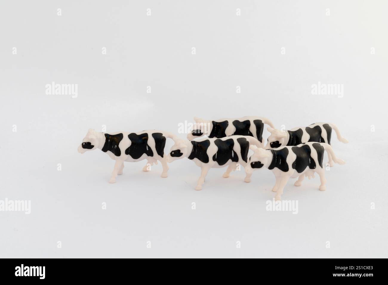 Group of black and white plastic cow figurines on white background ...