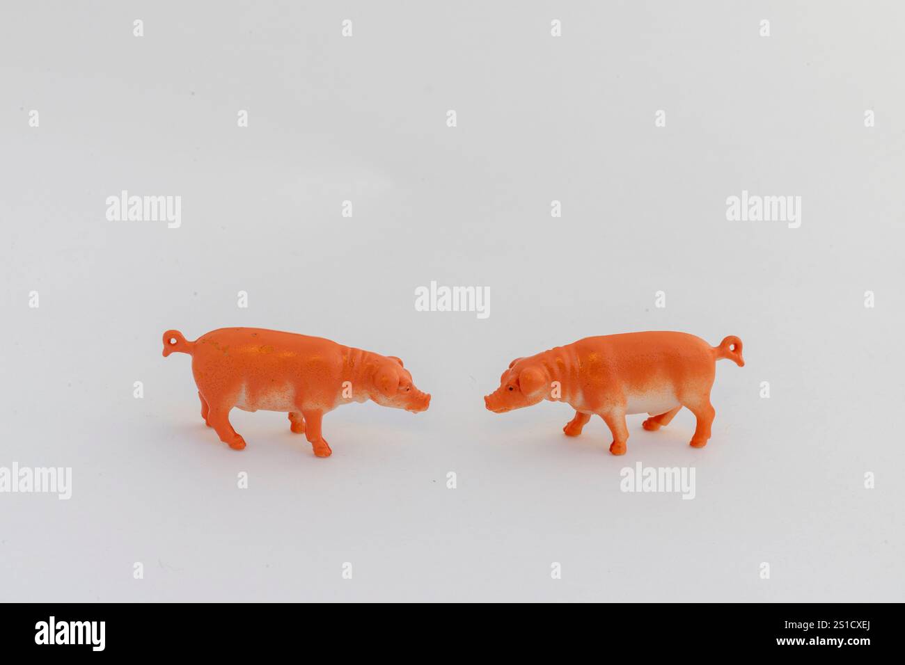 Pair of miniature toy pig figurines on white background Stock Photo - Alamy