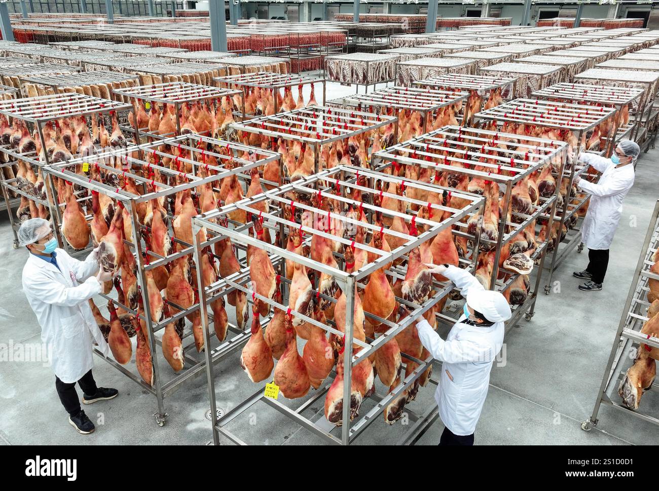 Workers dry strings of cured meat and sausages at a factory in ...