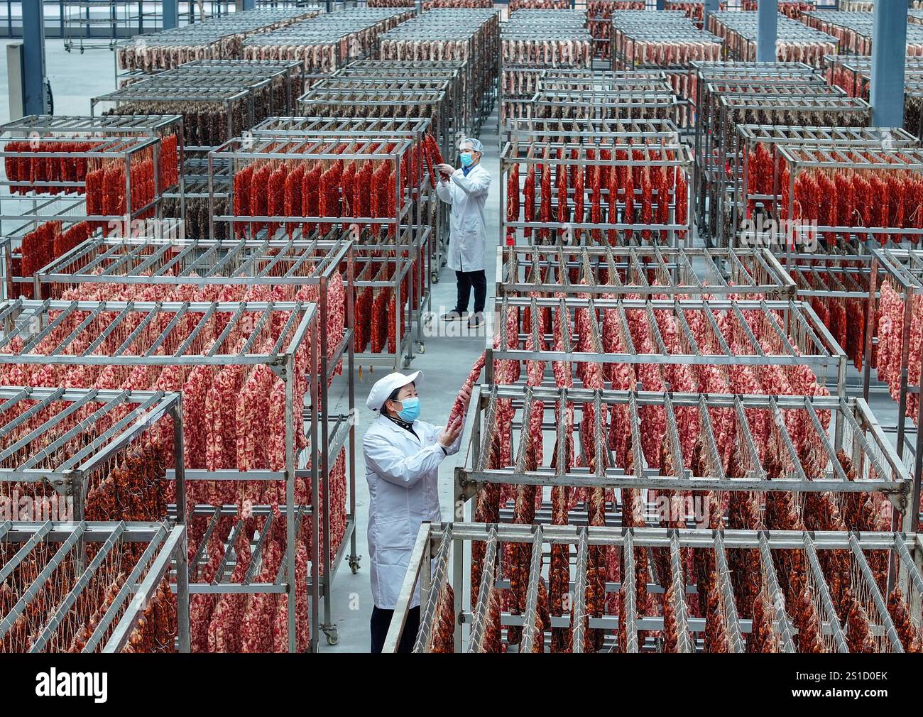 Workers dry strings of cured meat and sausages at a factory in ...