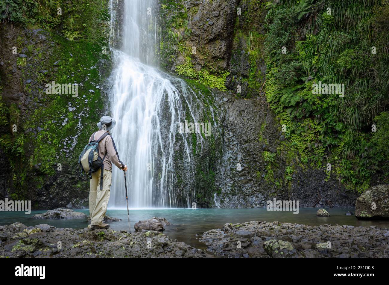 Tourist looking at Kitekite Falls. Waitakere Ranges. Auckland Stock ...