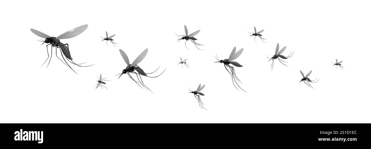 swarms of flying mosquitoes illustration Stock Vector Image & Art - Alamy