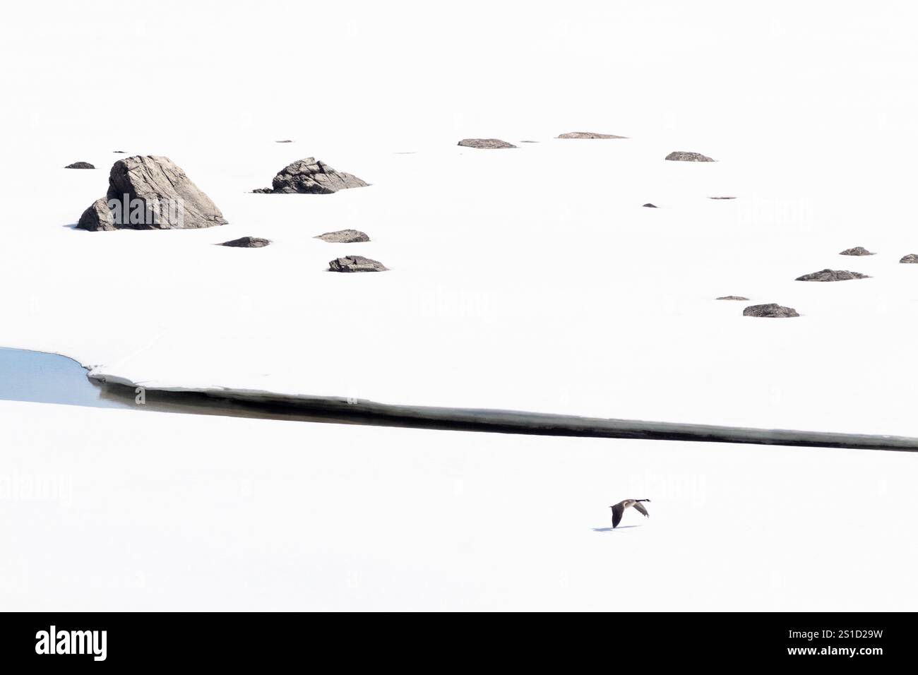 Beauty lake in wilderness Cut Out Stock Images & Pictures - Alamy