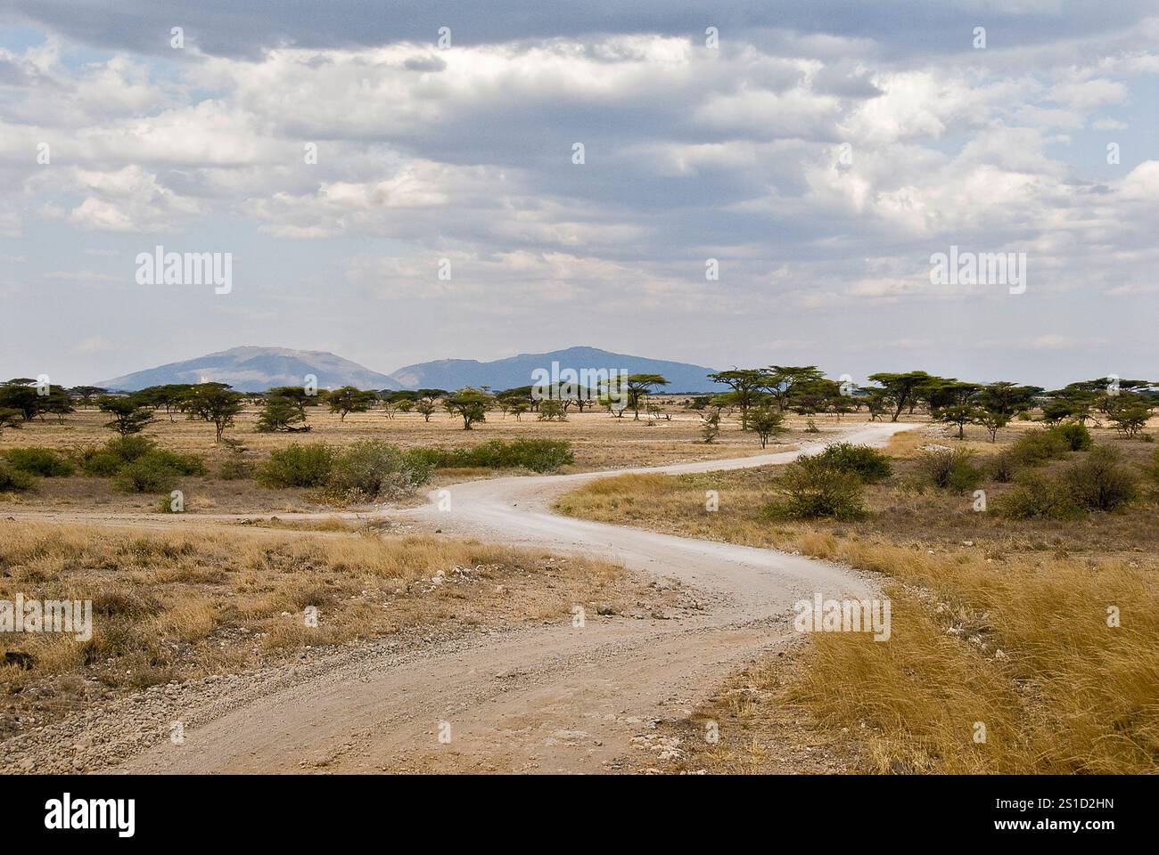 African outback. Part of Samburu National Reserve, northern Kenya in ...