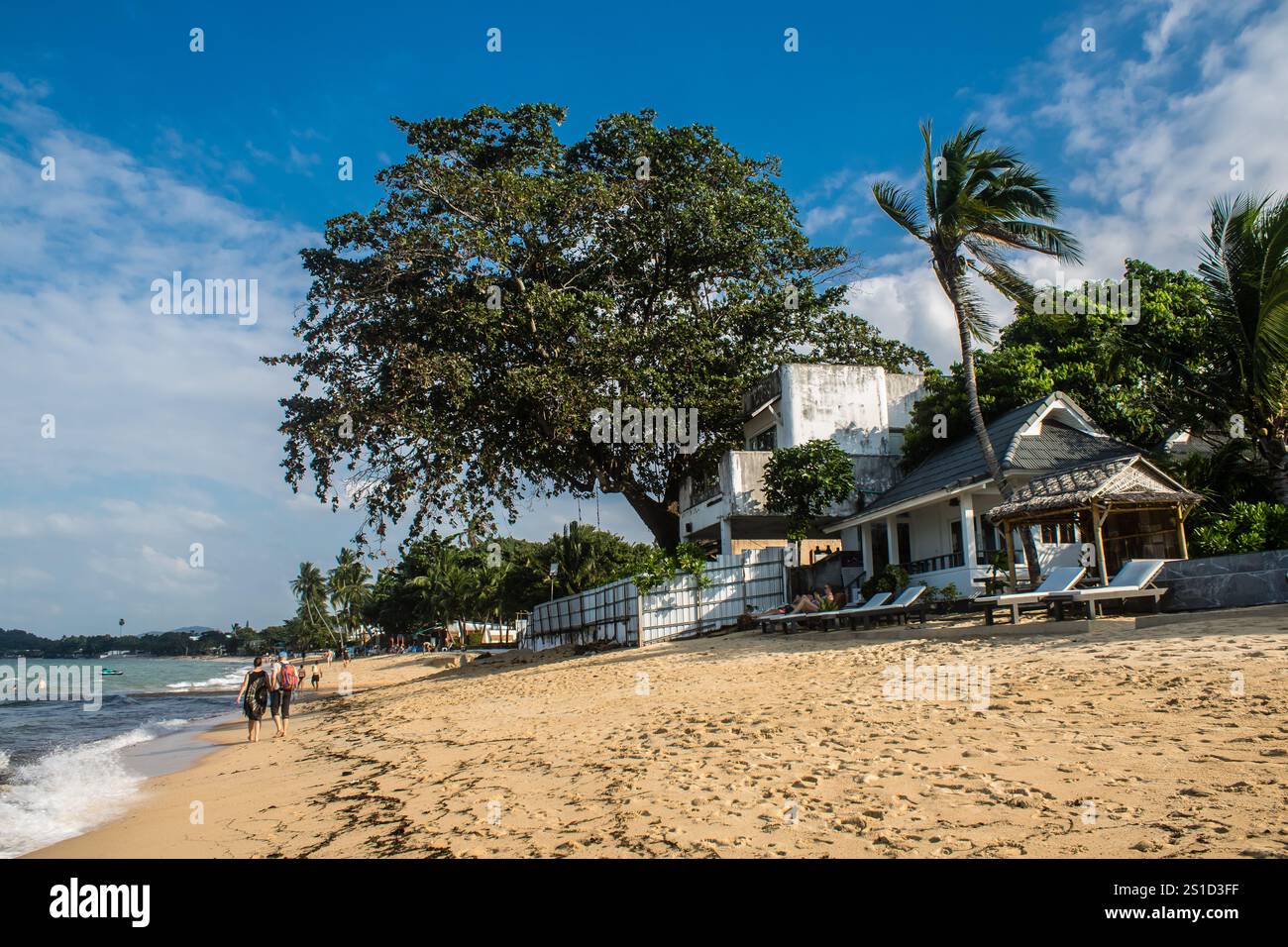Koh Samui, Thailand, December 5, 2024 Koh Samui beaches are among the ...