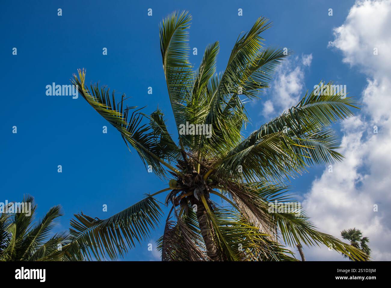 Koh Samui, Thailand, December 5, 2024 Koh Samui beaches are among the ...