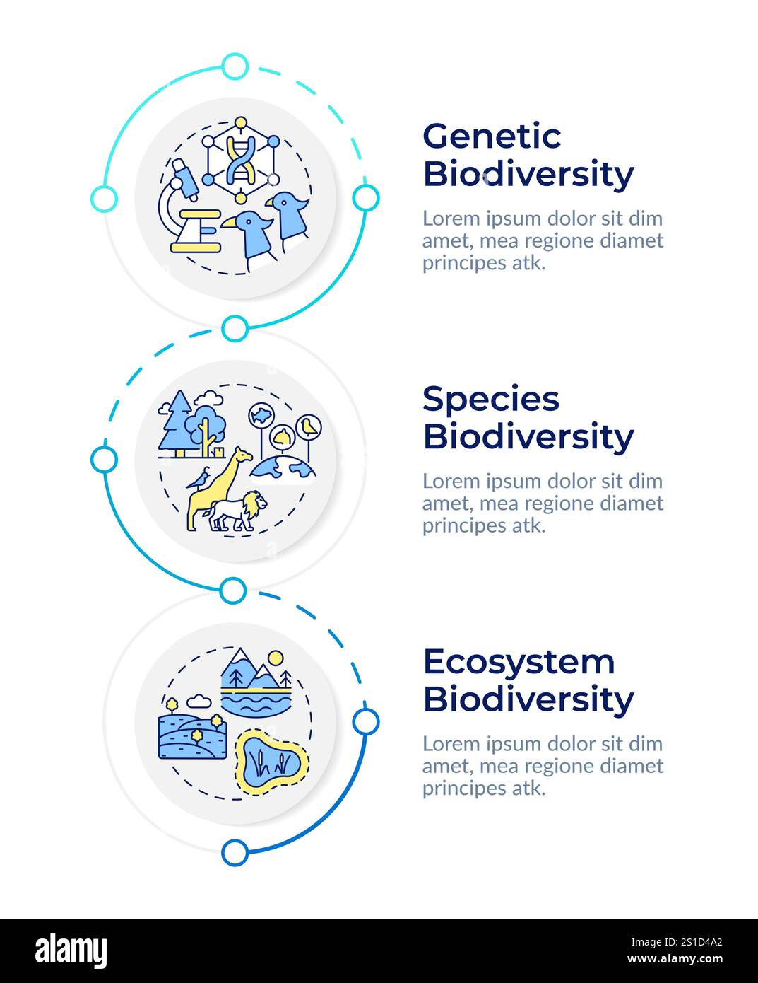 Types of biodiversity infographic design template Stock Vector Image ...