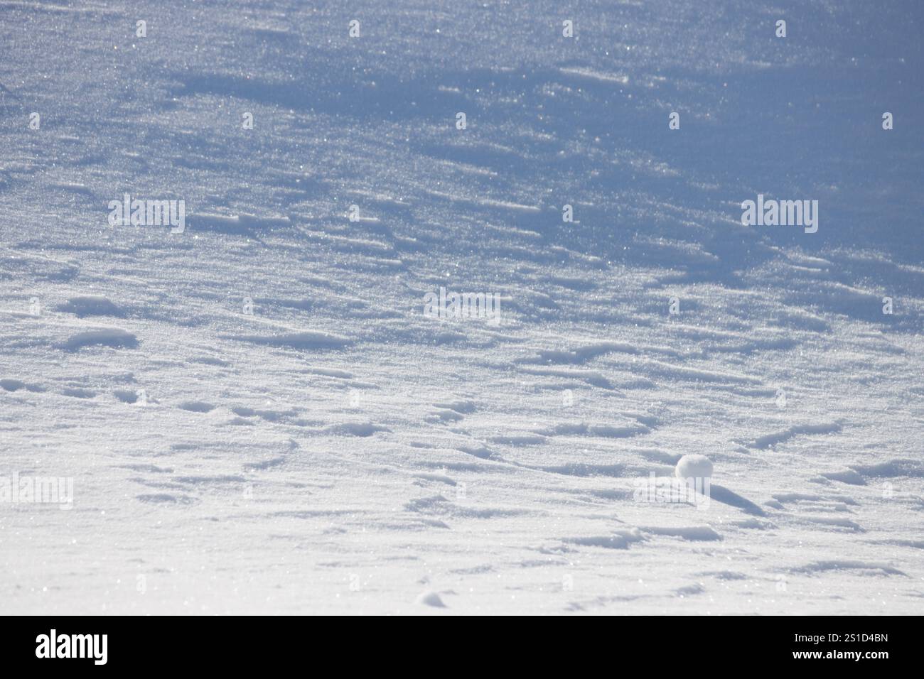 Small snowball on fresh white winter snow surface textured background ...