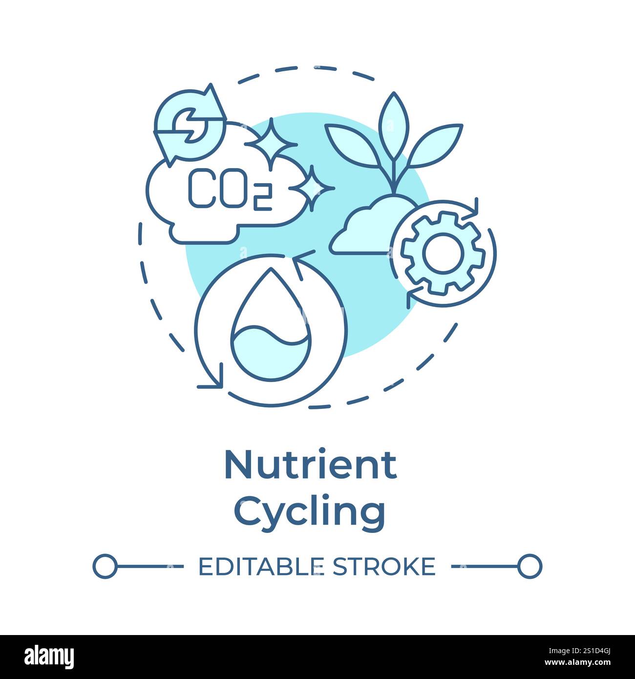 Nutrient exchange hi-res stock photography and images - Alamy