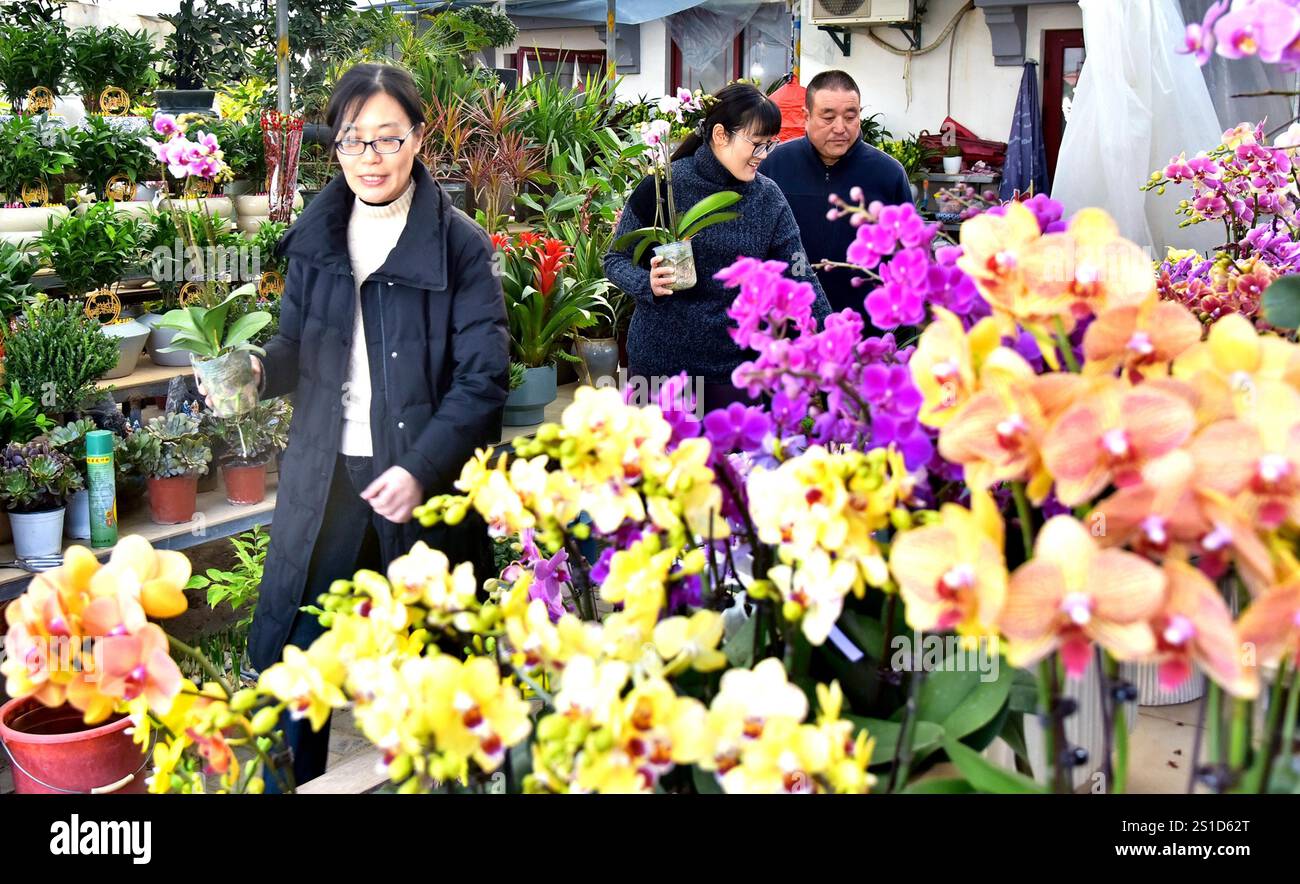 People select fresh flowers for the New Year in Rugao City, east China ...
