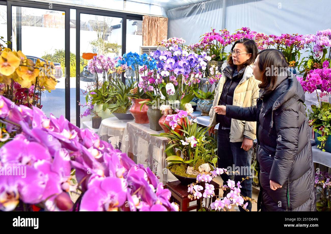 People select fresh flowers for the New Year in Rugao City, east China ...