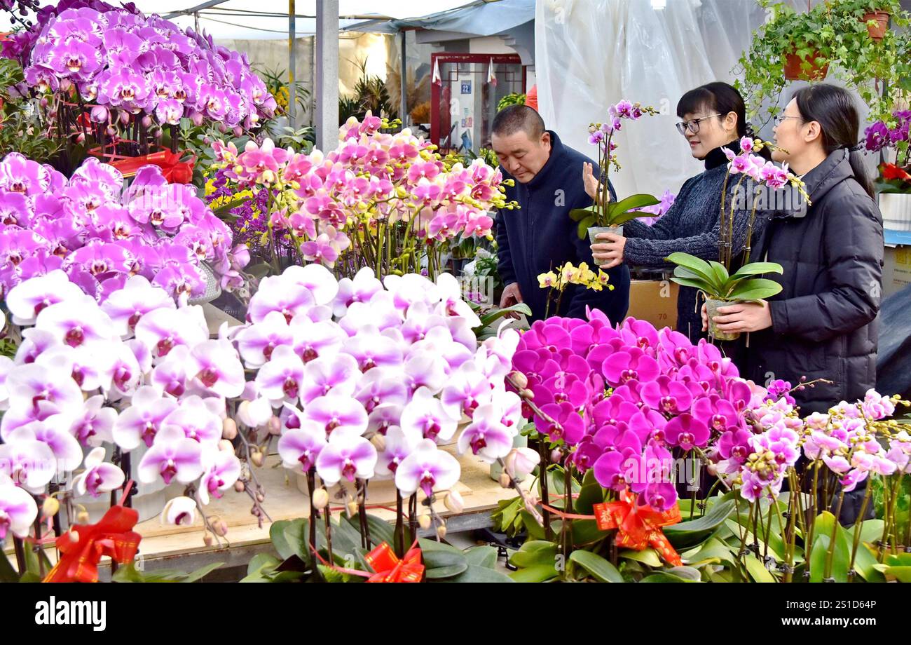 People select fresh flowers for the New Year in Rugao City, east China ...