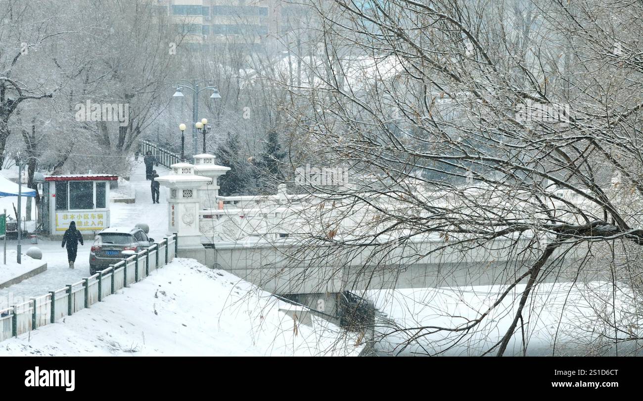 Rime scenery in Harbin City, northeast China's Heilongjiang Province ...