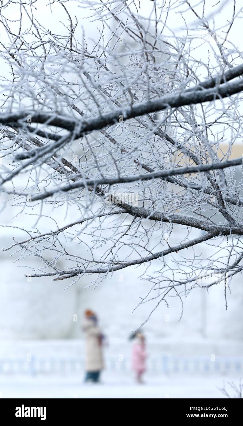 Rime scenery in Harbin City, northeast China's Heilongjiang Province ...