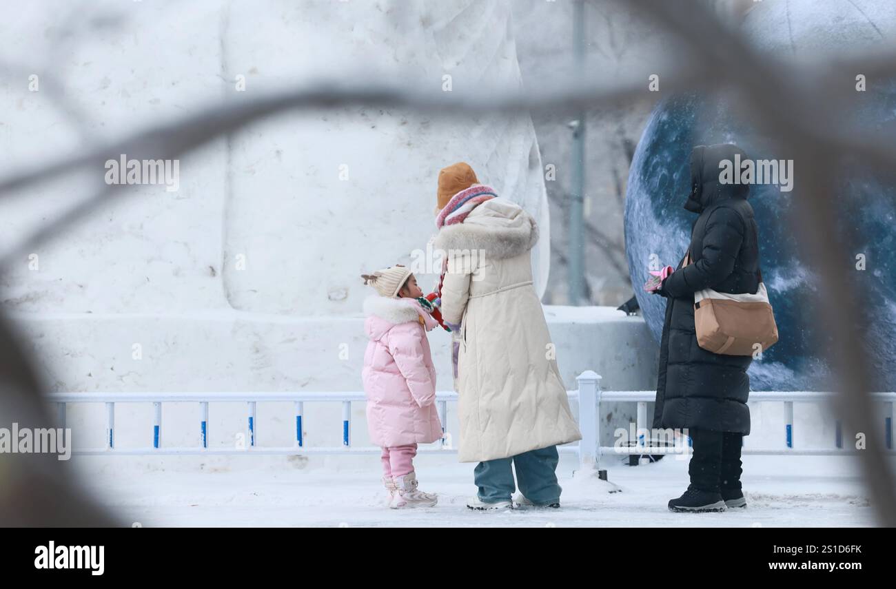 Rime scenery in Harbin City, northeast China's Heilongjiang Province ...