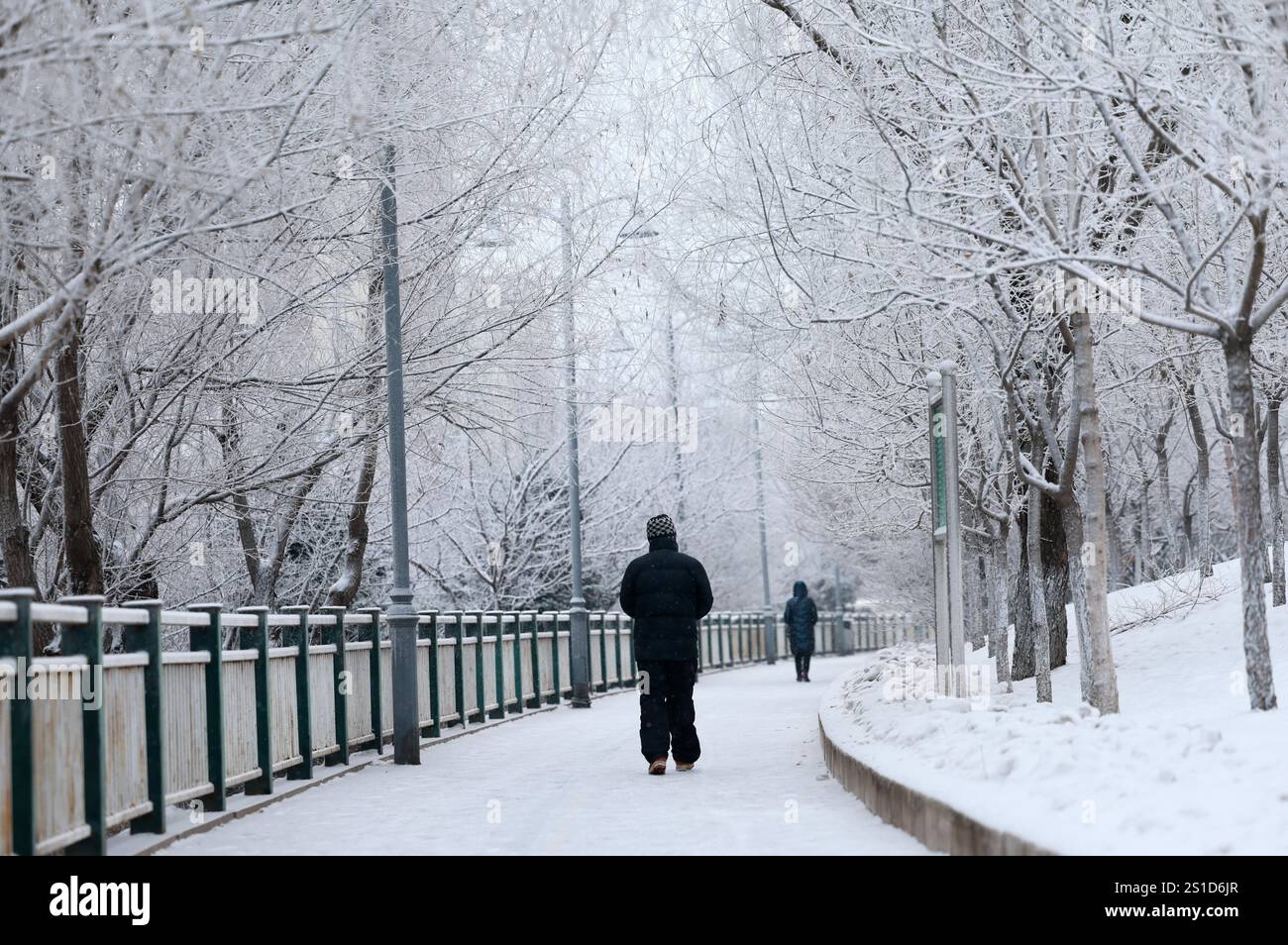 Rime scenery in Harbin City, northeast China's Heilongjiang Province ...