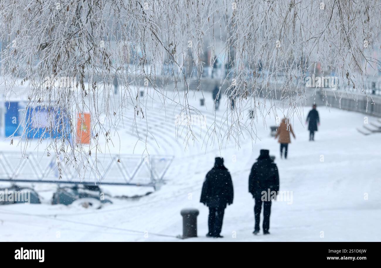 Rime scenery in Harbin City, northeast China's Heilongjiang Province ...
