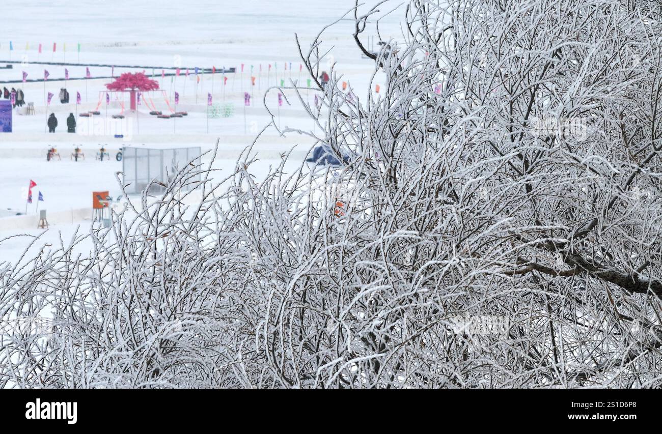 Rime scenery in Harbin City, northeast China's Heilongjiang Province ...