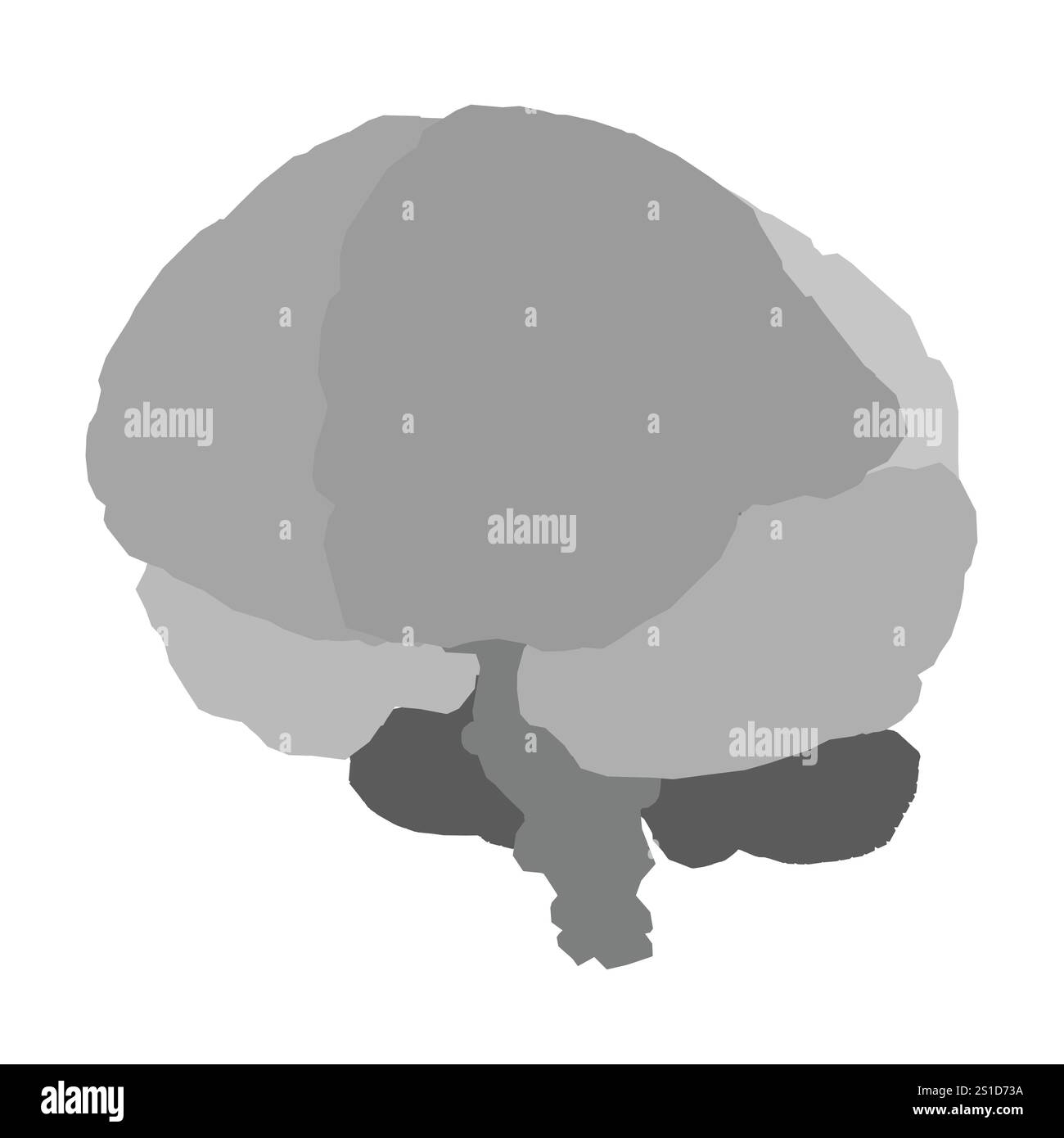 Gray brain with a white background. The brain is drawn in a very simple ...