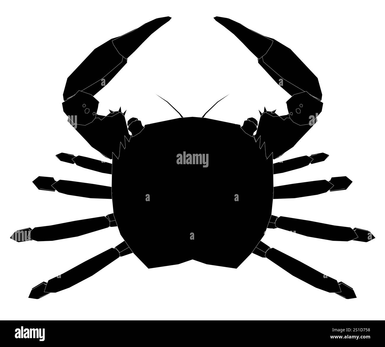 Marine arthropod Black and White Stock Photos & Images - Alamy