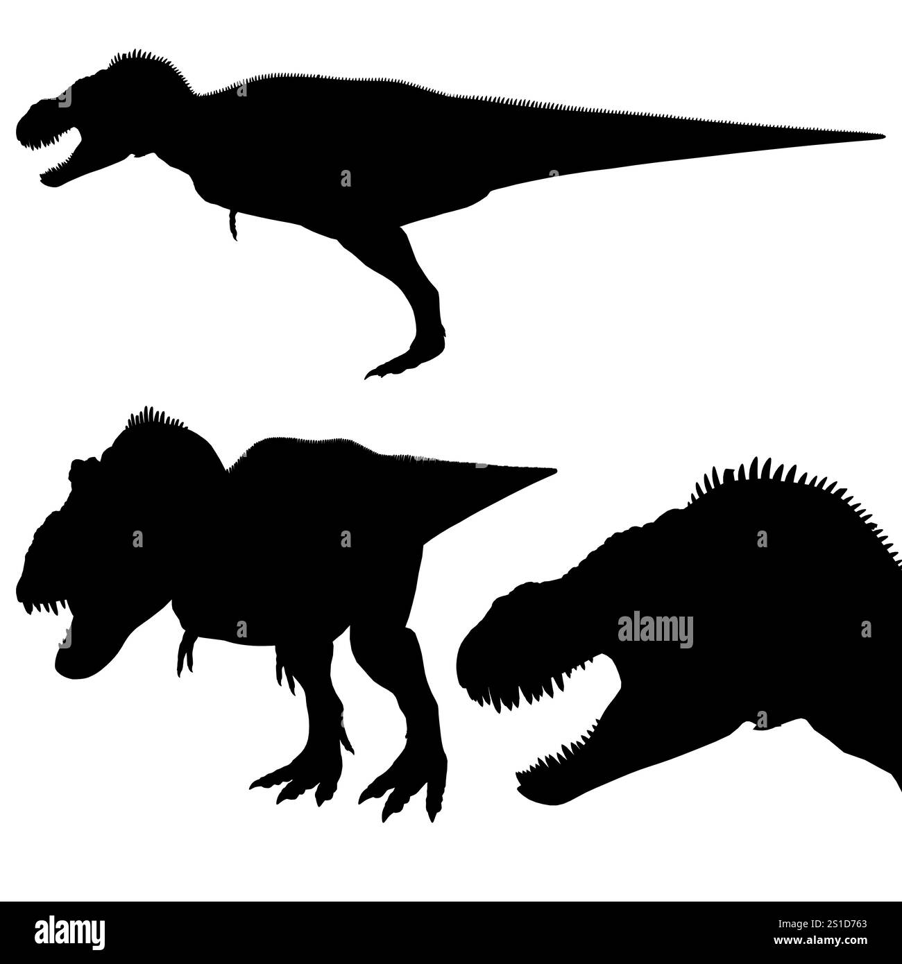 The three dinosaur silhouettes are all different types of dinosaurs ...