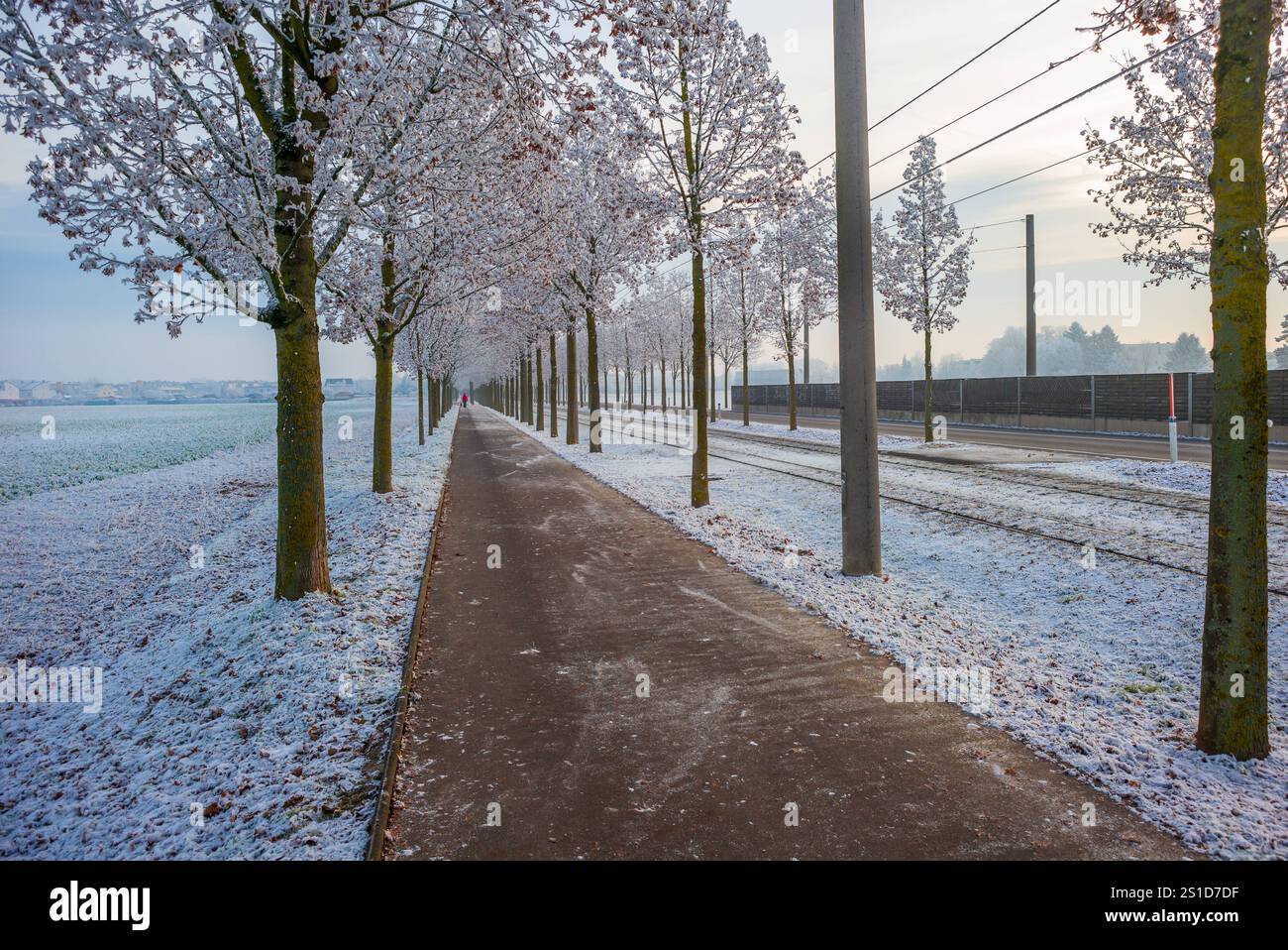 alley in solar city, linz pichling on a winter morning Linz Österreich ...