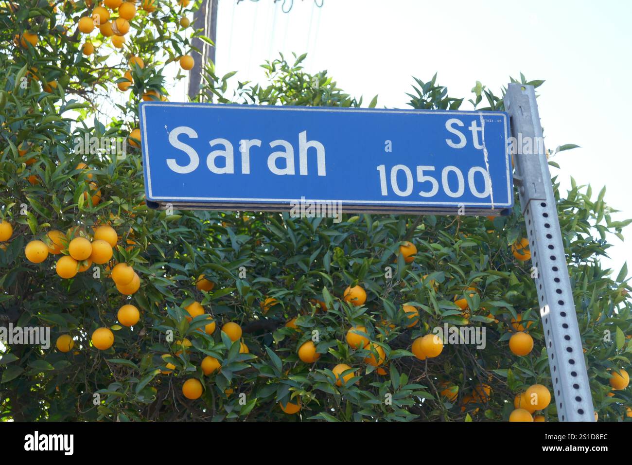 Los Angeles, California, USA 2nd January 2025 Sarah Street Sign on ...