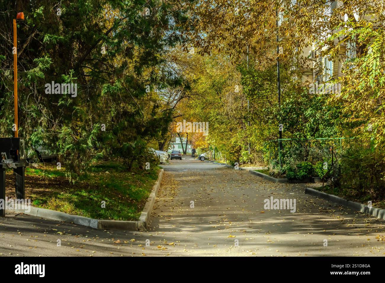 Tree lined empty residential street hi-res stock photography and images ...