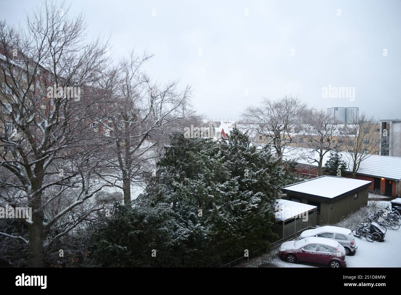Copenhagen/ DenmarK/03 JANUARY 2025/ danish weather snow fall in ...