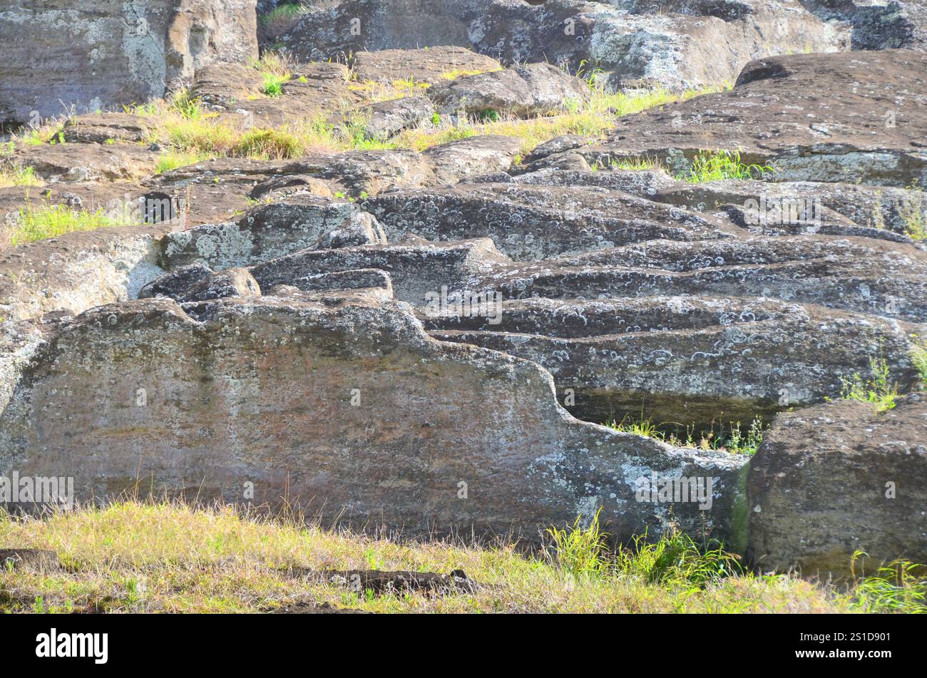 Unfinished Moai called el Gigante left at the Rano Raraku quarry on ...