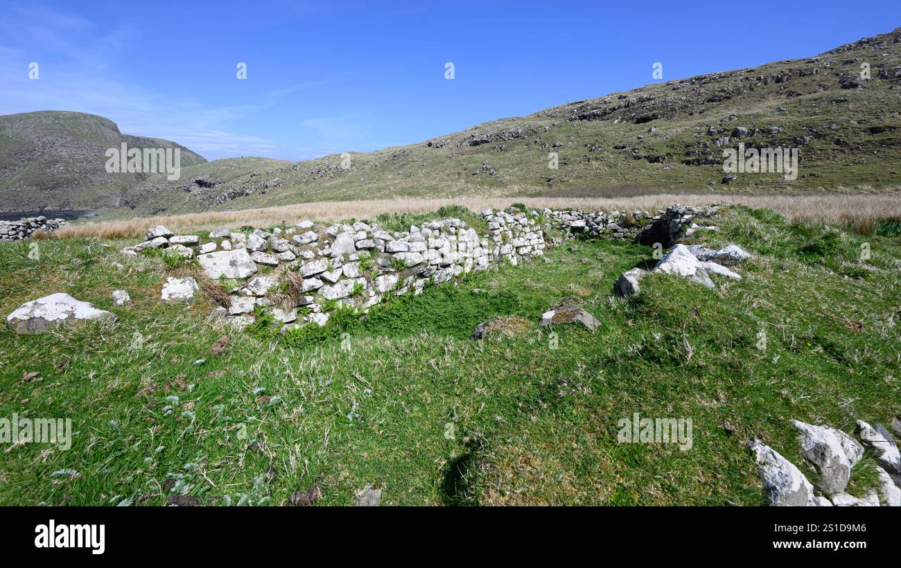 Old croft on Eilean an Taighe and Garbh Eilean, Shiant islands, Isle of ...