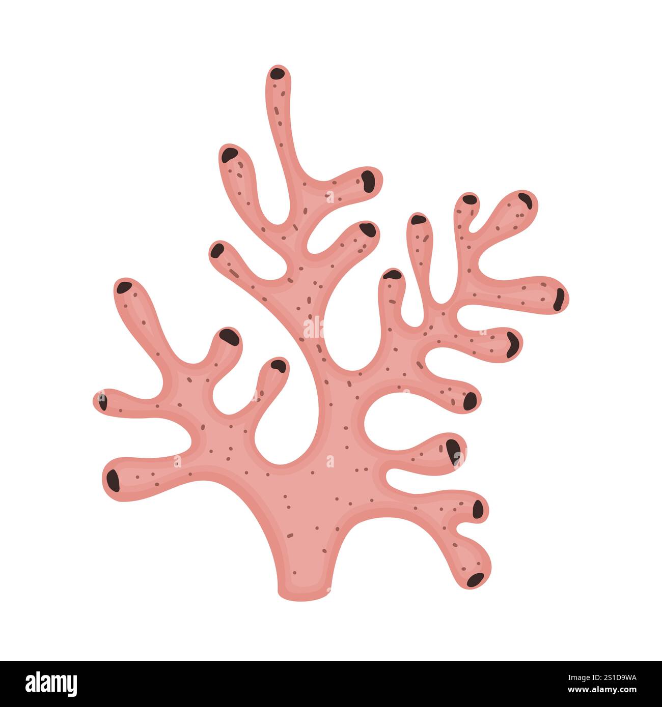 Coral reef branch. Fauna of sea underwater sponges. A marine plant with ...