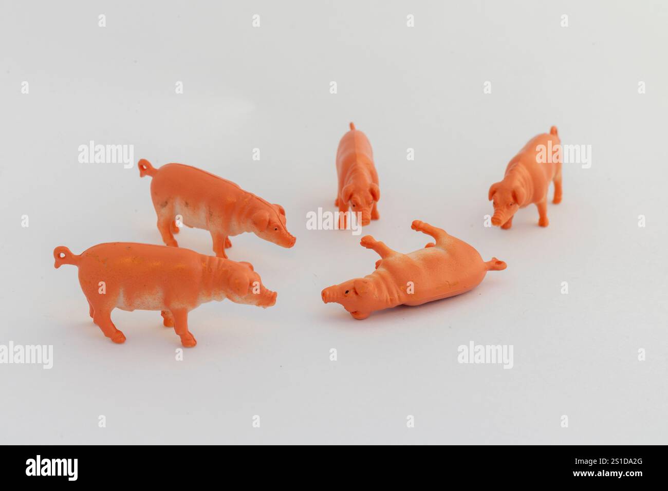 Group of miniature orange pig toys in a circle formation on white ...