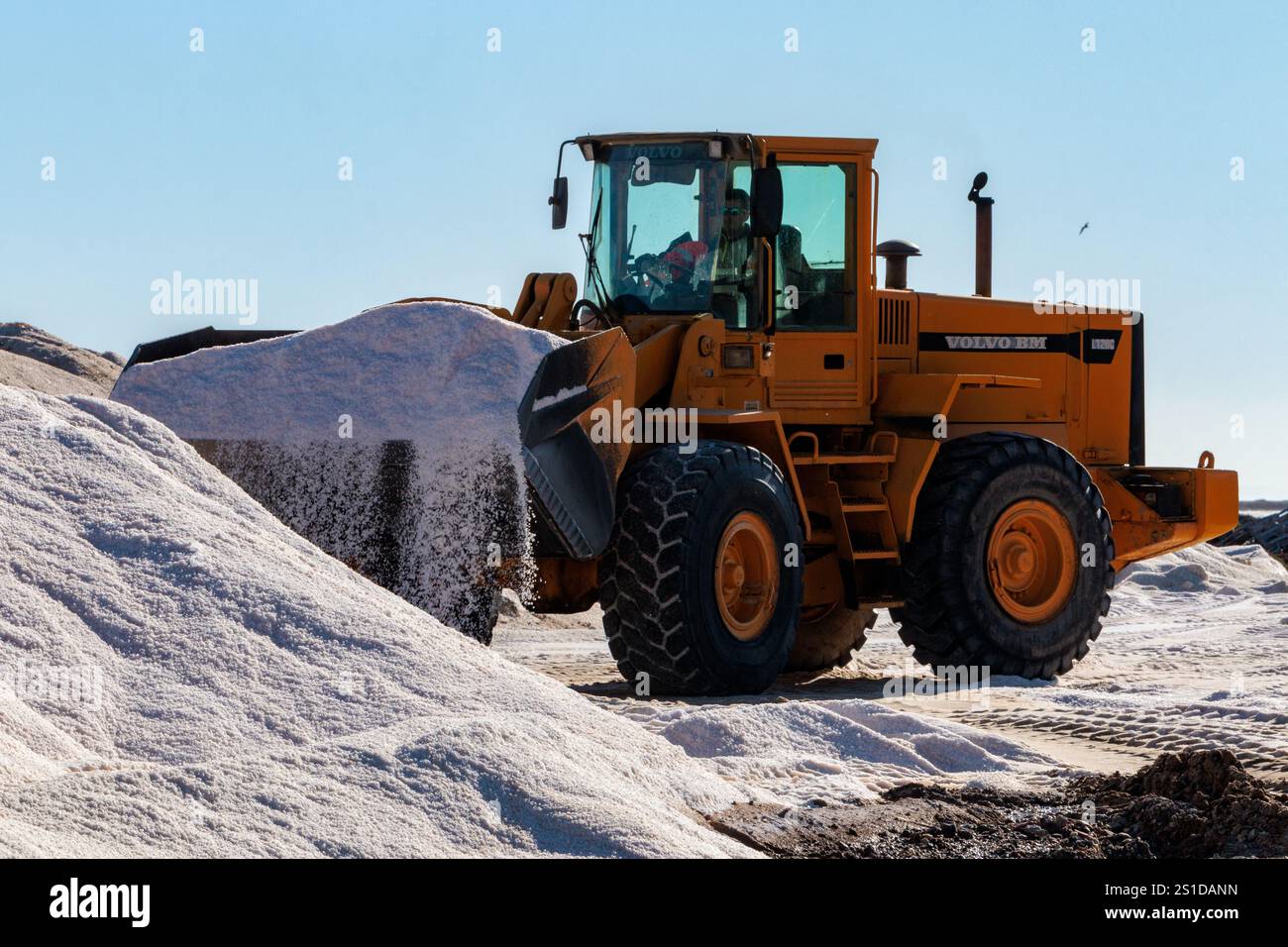 Salt harvesting at the Salin de l’ile St-Martin. Gruissan Saltworks ...