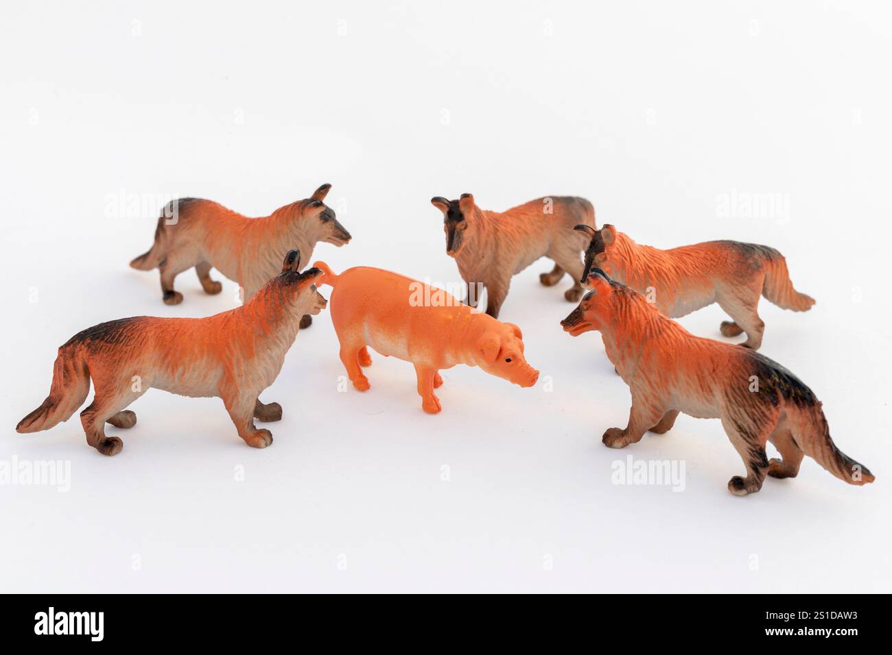 Pack of toy wolves hunting a miniature toy pig figures on white ...