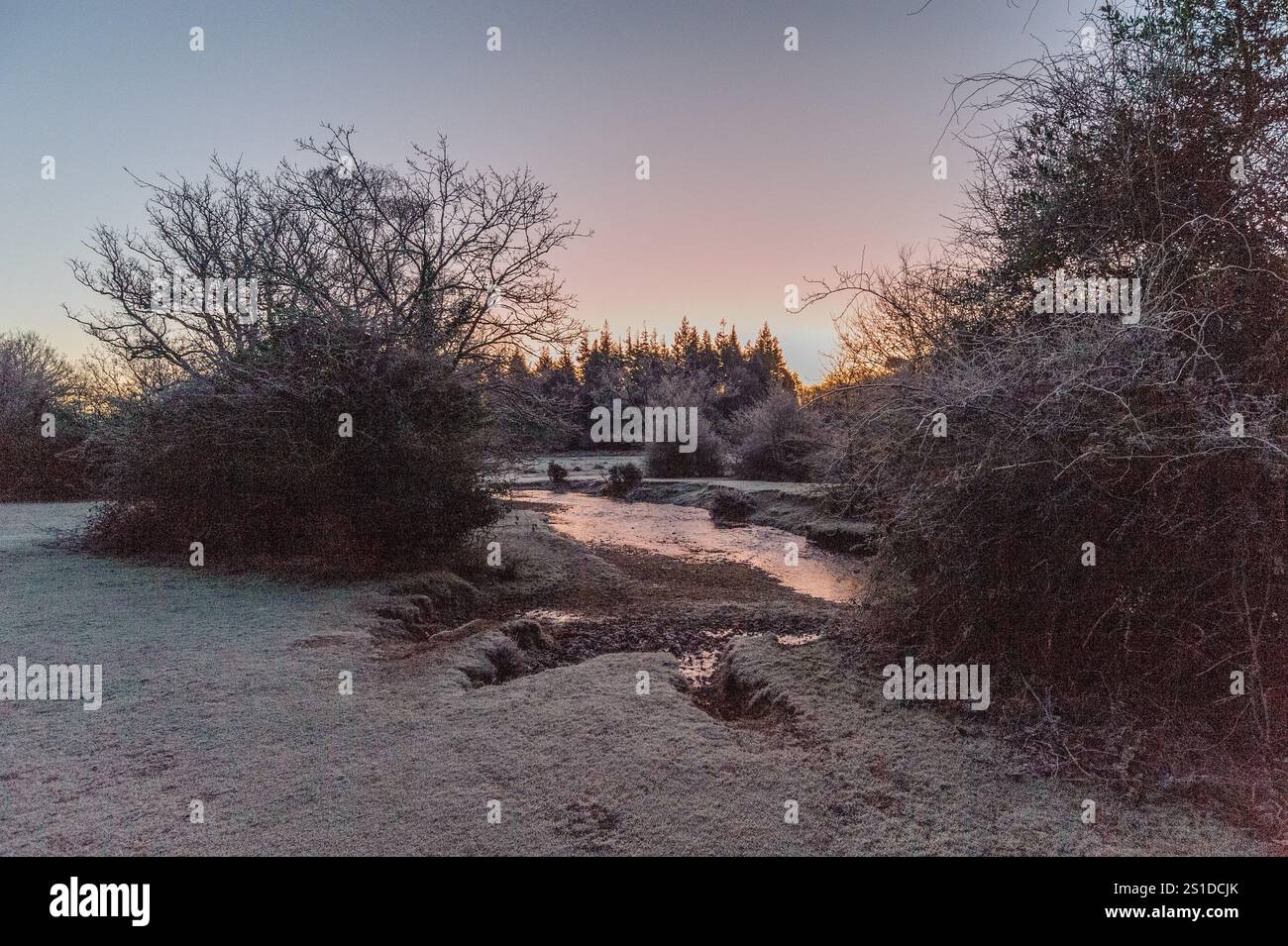 Linford Bottom, New Forest, Ringwood, Hampshire, England, UK, 3rd ...