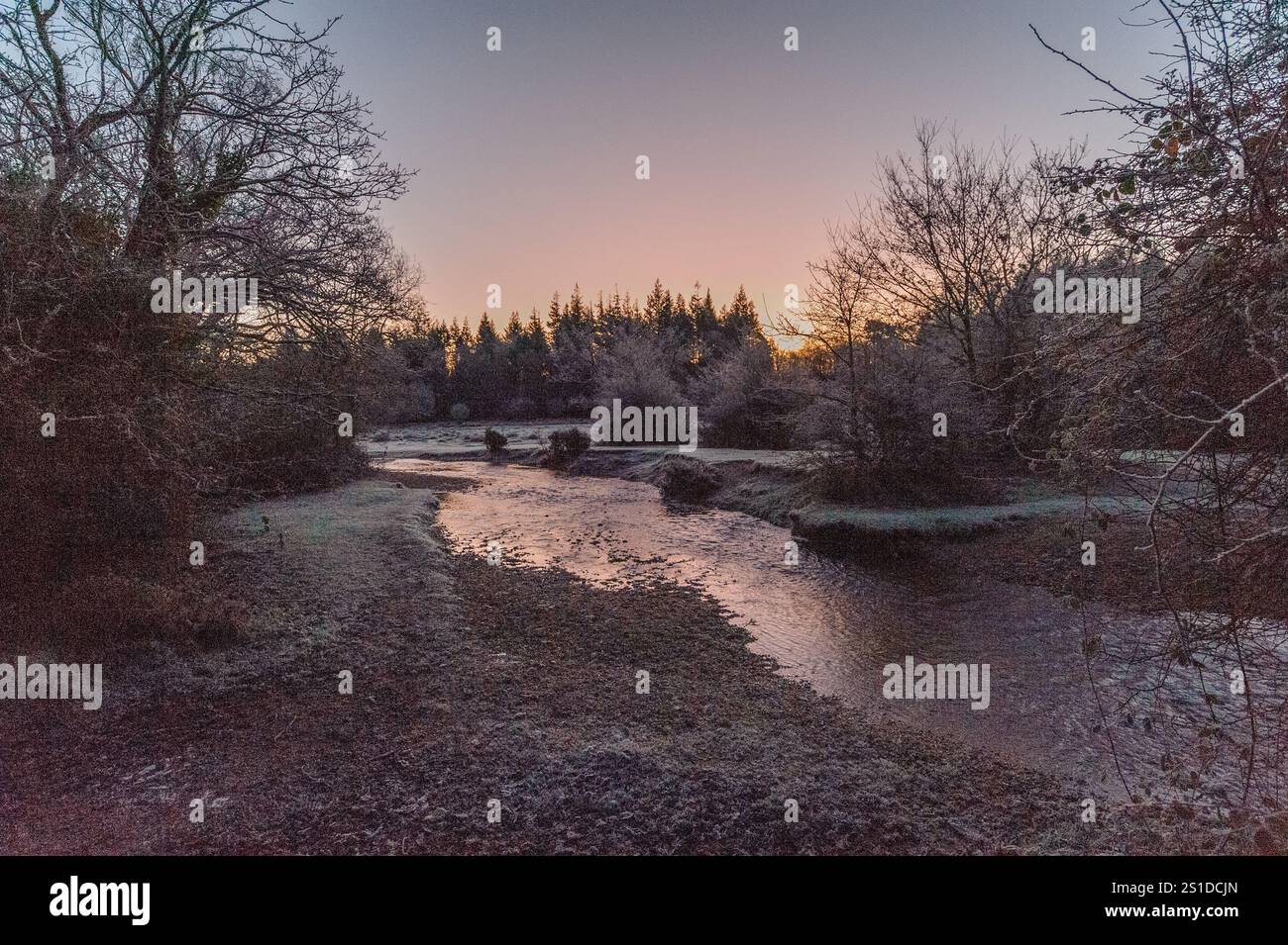 Linford Bottom, New Forest, Ringwood, Hampshire, England, UK, 3rd ...