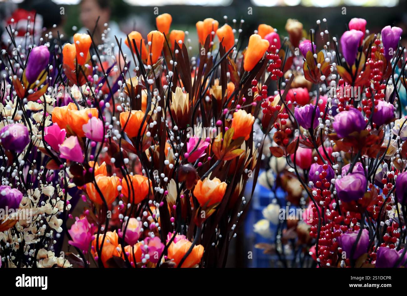 People select New Year flowers at Dounan Flower Market in Kunming City ...