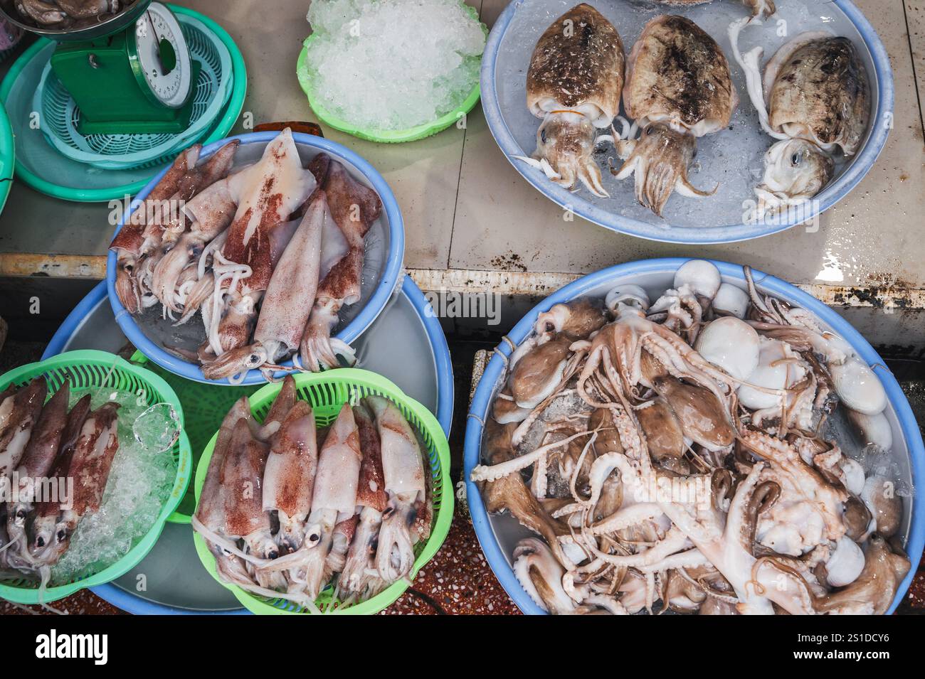 Seafood, including shrimp, octopuses, clams, sea snails, squid, octopus ...