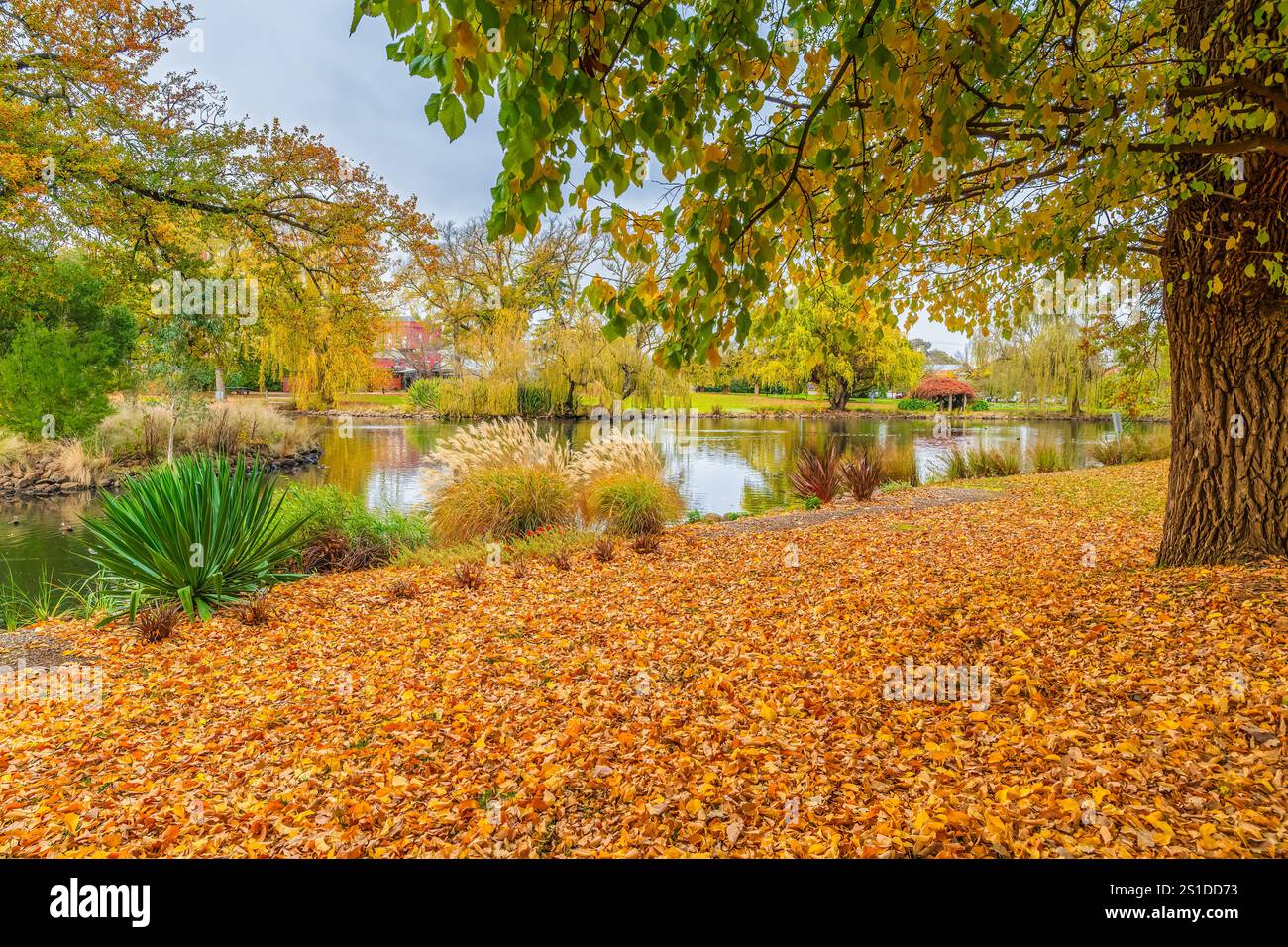 Late Autumn scenery around the Botanical Gardens in Castlemaine ...