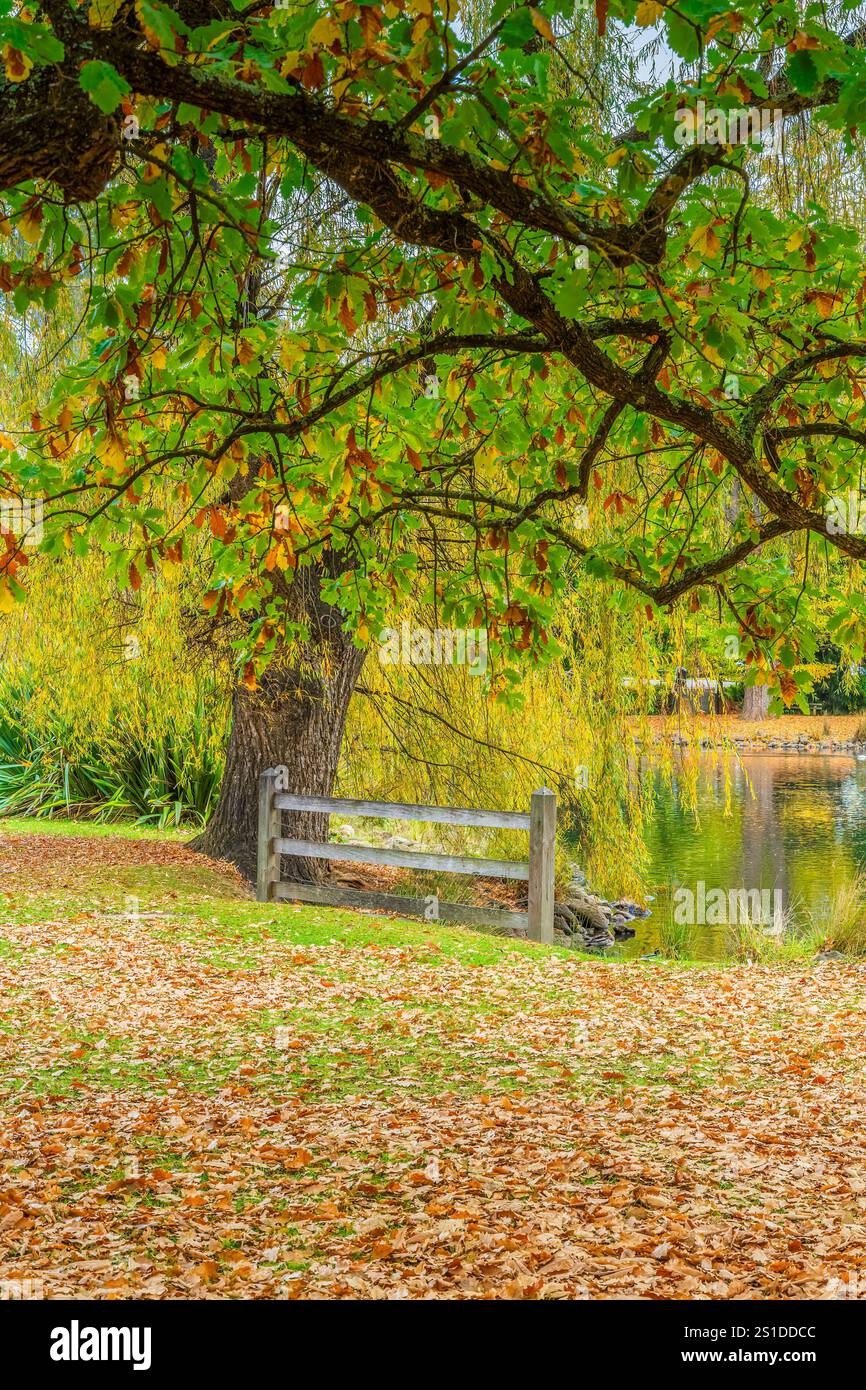 Late Autumn scenery around the Botanical Gardens in Castlemaine ...